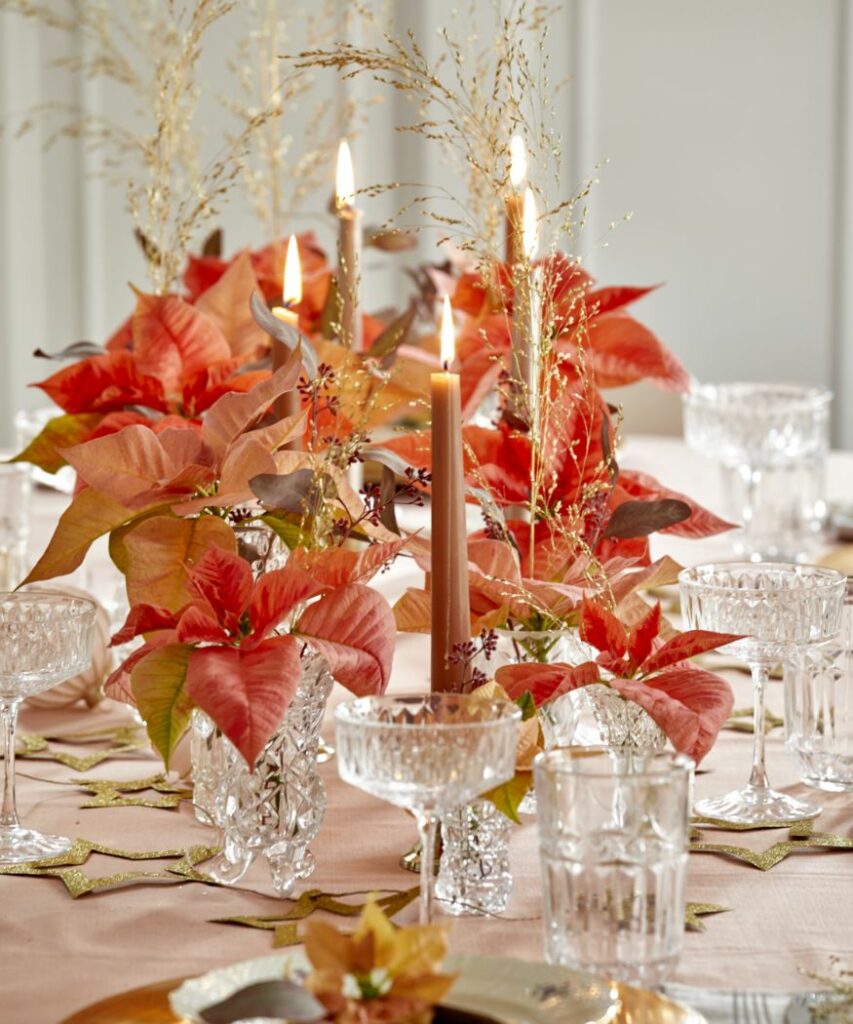 Table decoration with poinsettia: Festive ideas in Advent › Inspiration ...