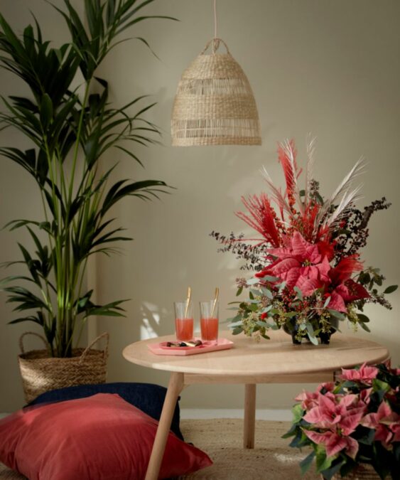 Flower of the Holy Night. How an ancient Aztec bloom became the most ...