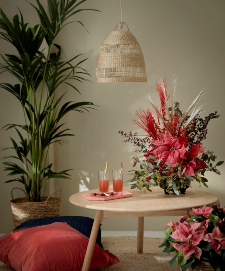 Flower of the Holy Night. How an ancient Aztec bloom became the most ...