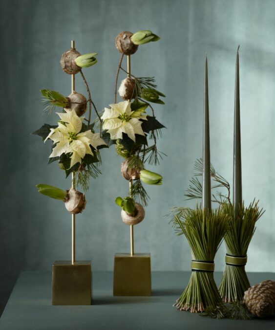 Flower of the Holy Night. How an ancient Aztec bloom became the most ...