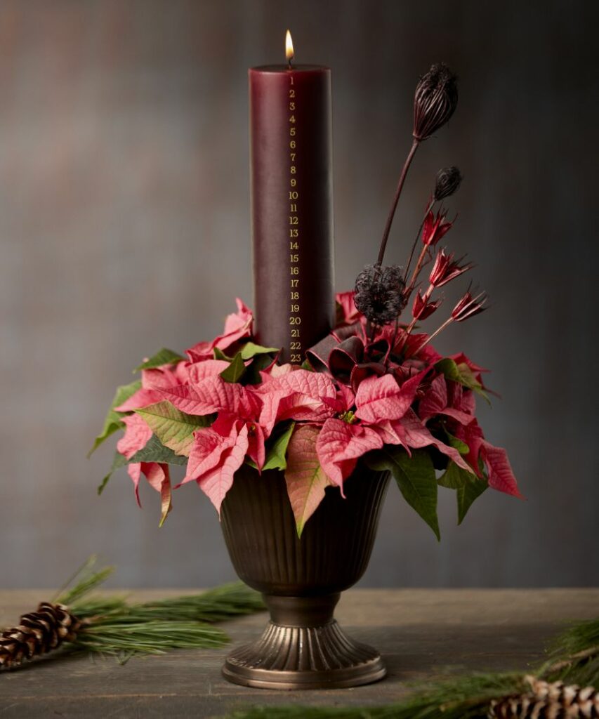 Twinkling with light and stars: Bright ideas for Advent decorations ...