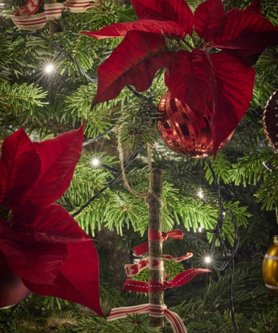 DIY poinsettia ideas: decorate simply but stylishly › Inspiration and ...